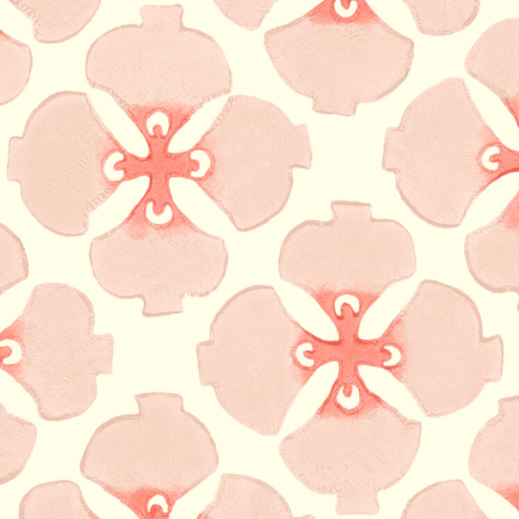 Sakura - Galbraith & Paul