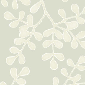 Smokebush - Galbraith & Paul